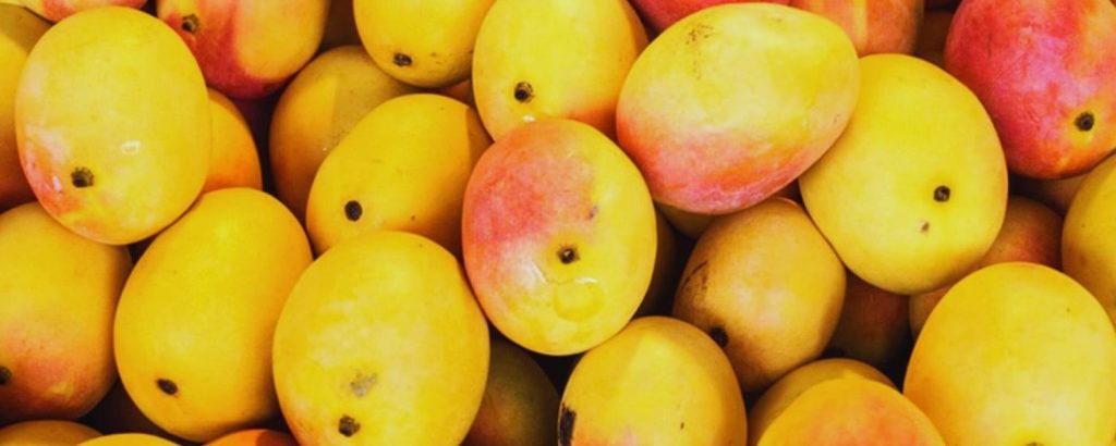 20 Varieties of Mangoes in India and Where to Find Them