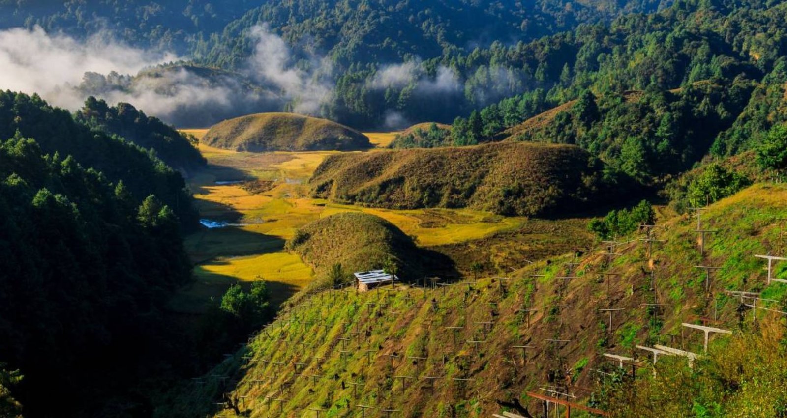 Exploring the Majestic Peaks of Bihar: Journey into Bihar Mountain