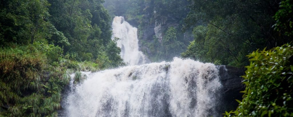 Discover the Majestic Beauty of Karnataka Waterfalls