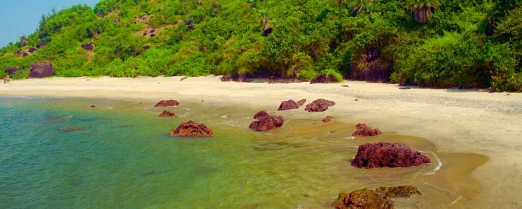 Explore Hidden Beaches in Goa: Pure Beauty