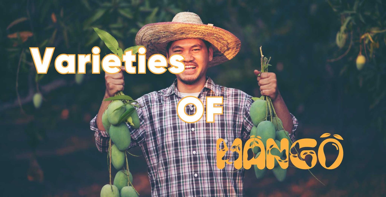 Mango Melodies: Exploring the Varieties of Mangoes in India