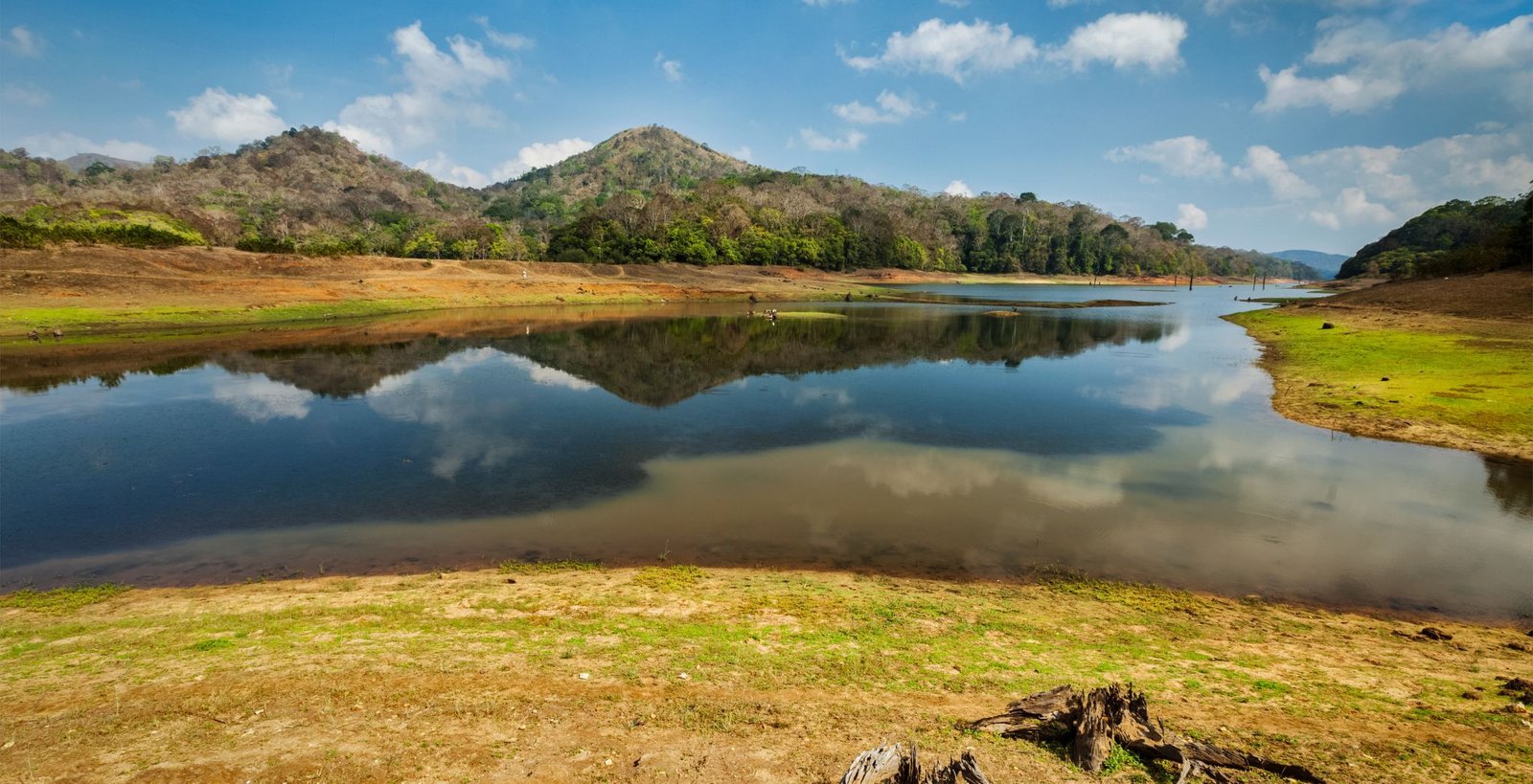 Major Wildlife Sanctuaries In India – QZOWQ