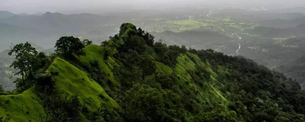 Pune Wonders: Top 20 Things to Do in Pune