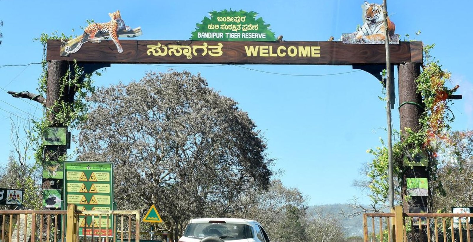 Bandipur National Park Conservation Efforts Overview