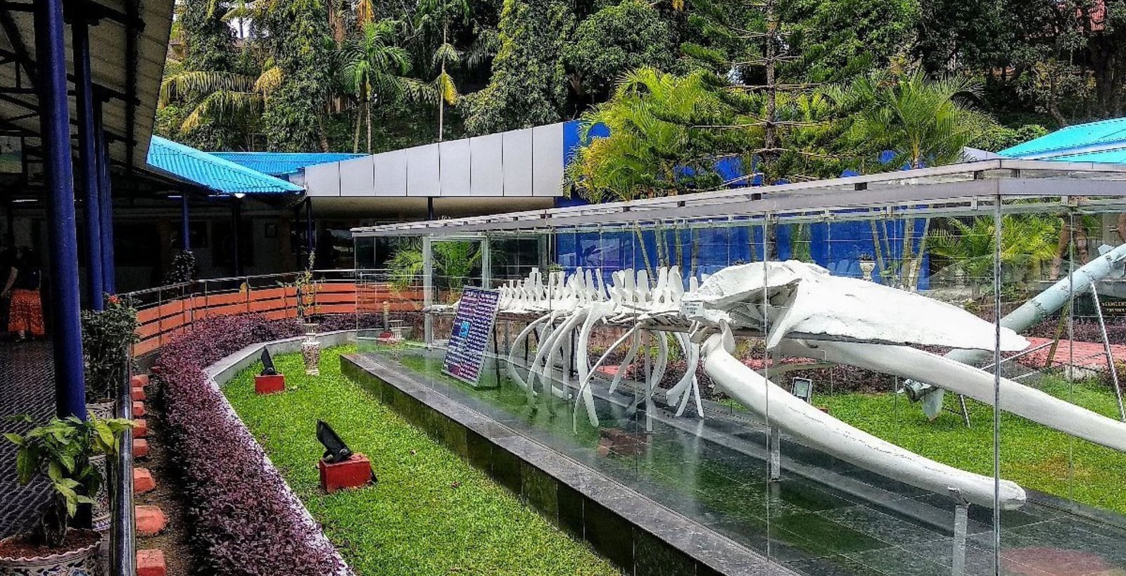 Samudrika Marine Museum Where the Sea Comes Alive