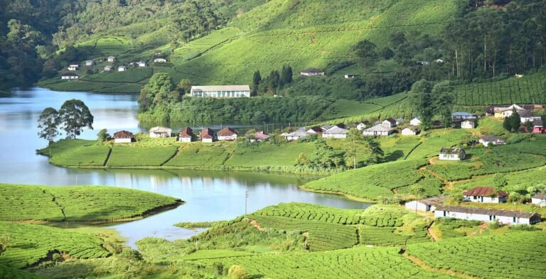 Top 29 Places to Visit in Munnar for Nature Lovers