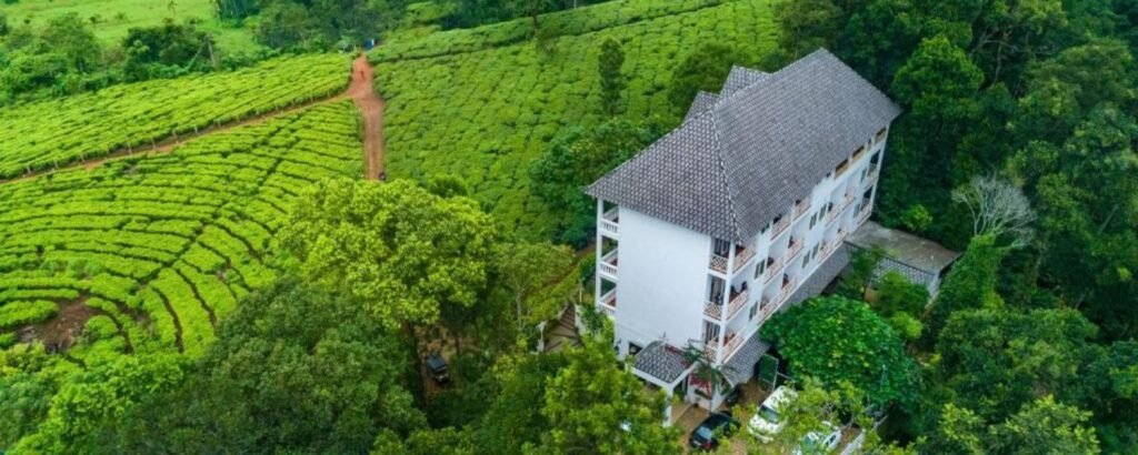 Top 36 Munnar Resorts You Must Experience