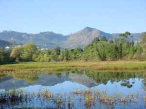 Hill Stations in Tamil Nadu, Visit this winter