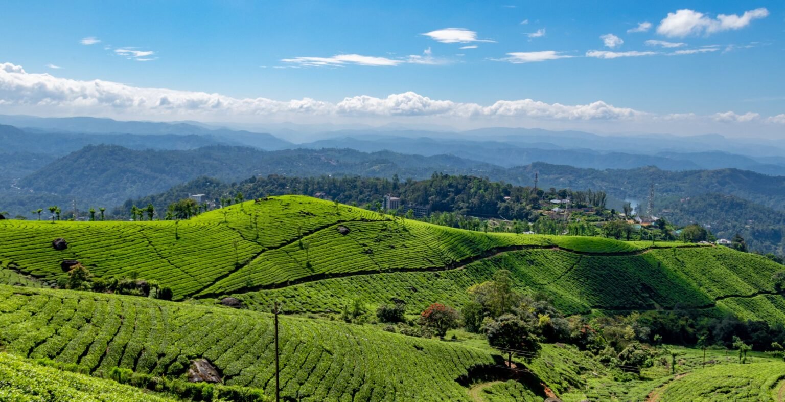 Why the Tea Museum Munnar is a Top Attraction in Munnar