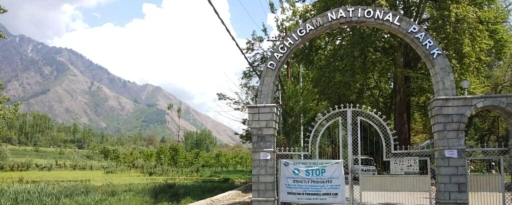 Dachigam National Park | Haven for Nature Explorers